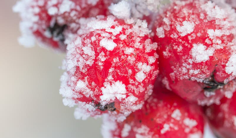 Crisp Winter Morning in Estonia. Stock Photo - Image of scenic, estonia ...