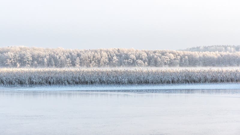 Crisp Winter Morning in Estonia. Stock Image - Image of europe ...