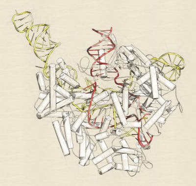 Cartoon Crispr Stock Illustrations – 178 Cartoon Crispr Stock ...