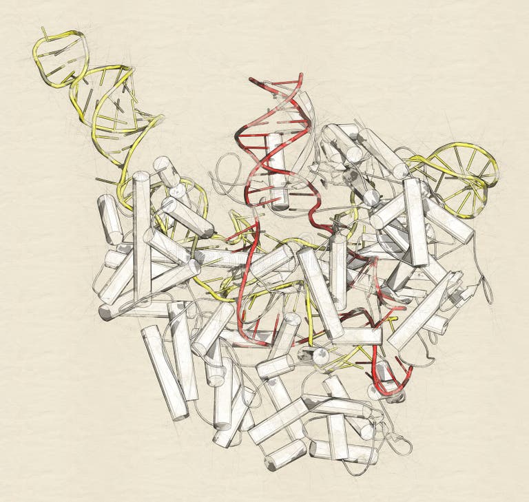 Cartoon Crispr Stock Illustrations – 143 Cartoon Crispr Stock ...