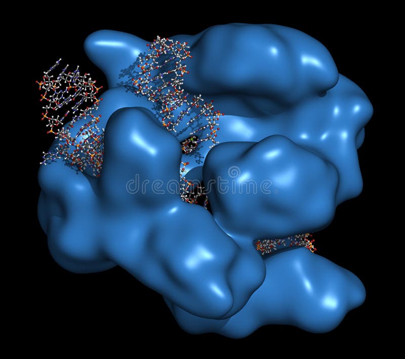 CRISPR-CAS9 Gene Editing Complex from Streptococcus Pyogenes. the Cas9 ...