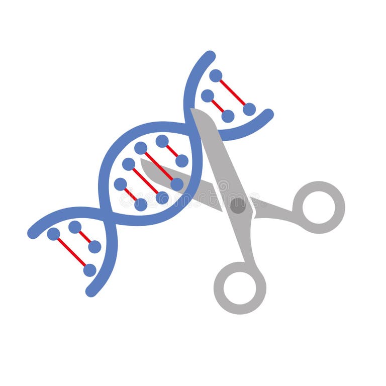 Crispr - Gene Editing Tool. Genetic Engineering Stock Illustration ...