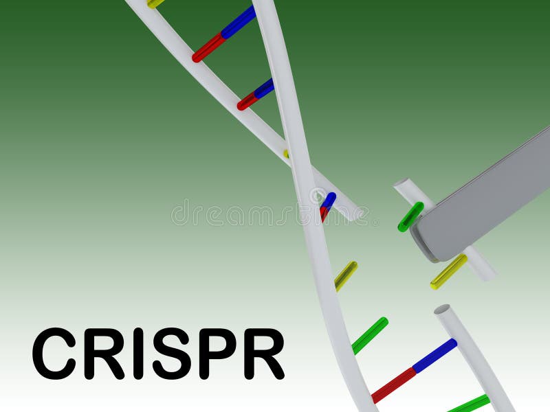 Crispr Script Stock Illustrations – 6 Crispr Script Stock Illustrations ...