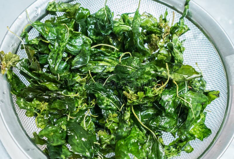 Crispy Basil on the Metal Colander. Stock Image - Image of traditional ...