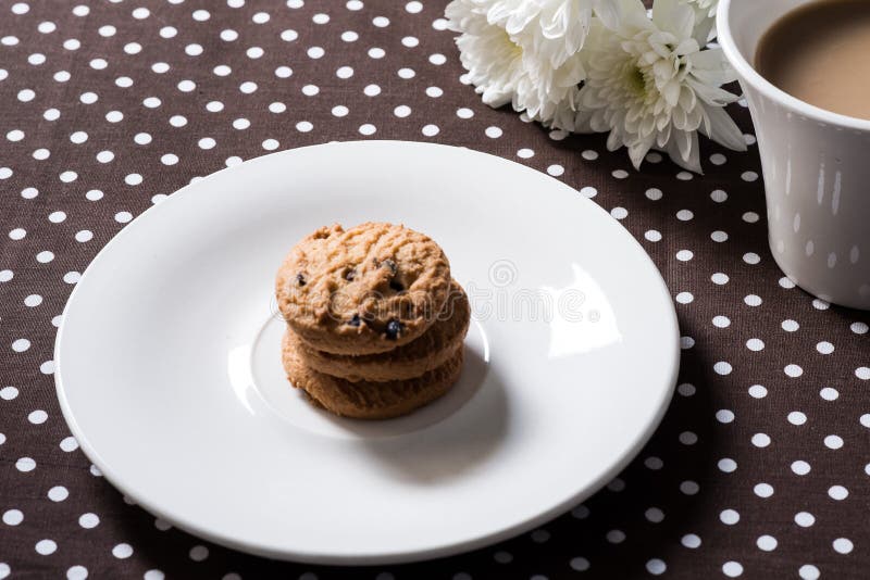 Crispy Chocolate Chip Cookie for Break Stock Image - Image of biscuit ...