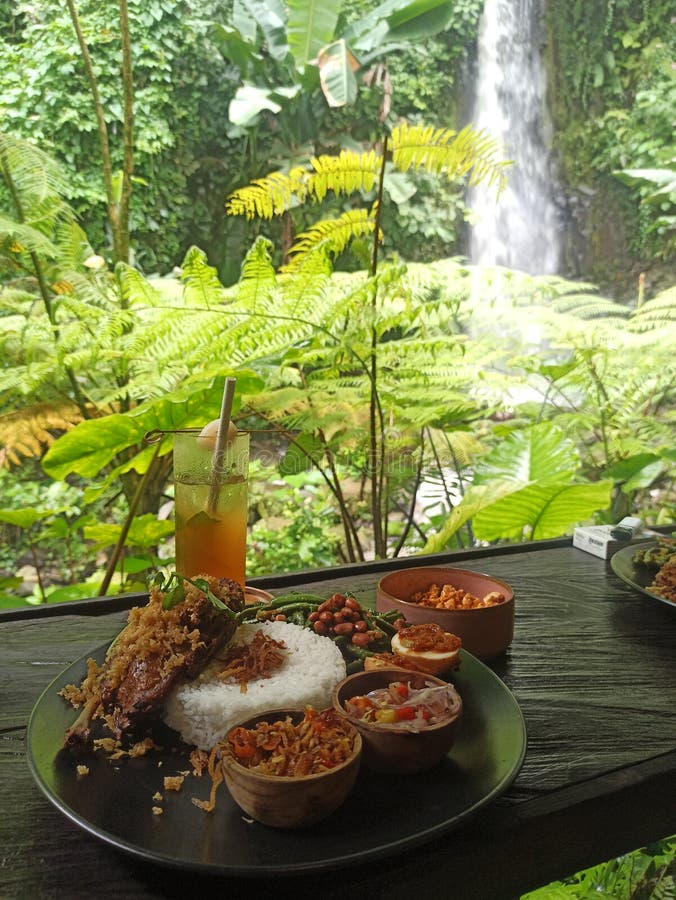 Crispy Duck with Fresh Vegetable and Iced Tea Stock Photo - Image of ...