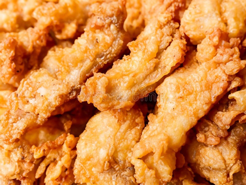 Crispy Fried Chicken Skins stock image. Image of crisp - 296390317