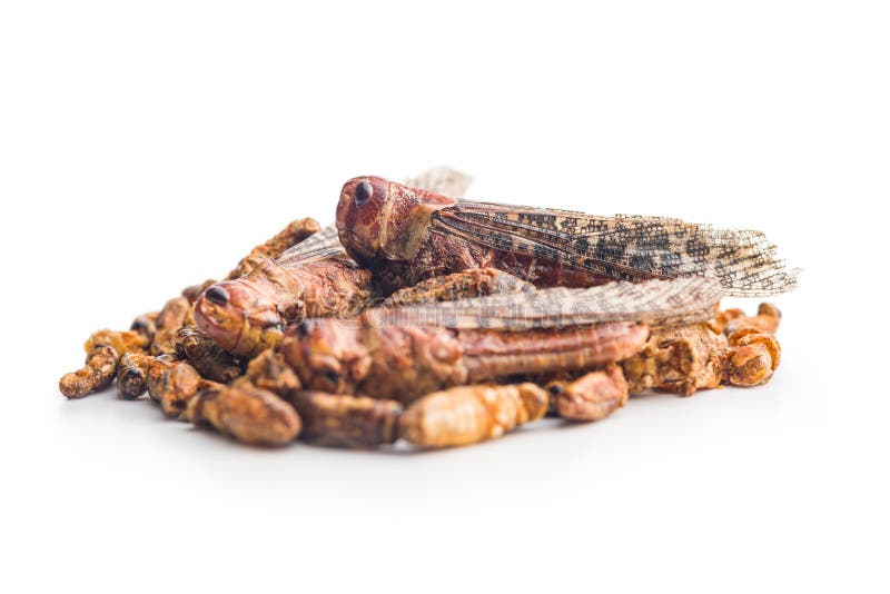 Crispy Fried Chicken Nuggets Floating on a White Background. Generative ...