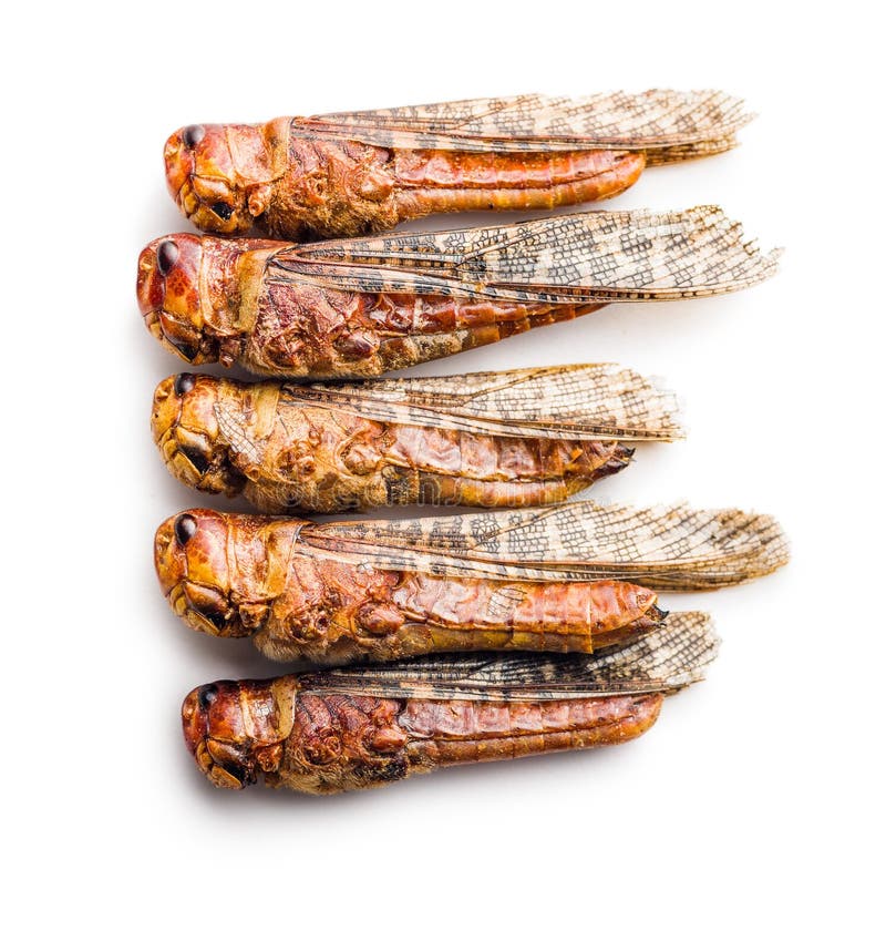 Crispy Fried Chicken Nuggets Floating on a White Background. Generative ...