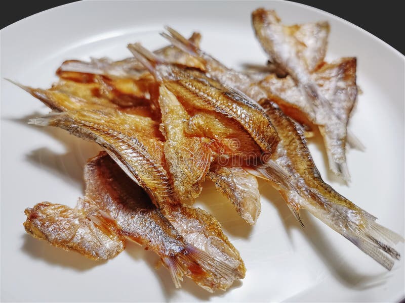 Crispy Fried Salted Fish on White Plate Stock Image - Image of bone ...