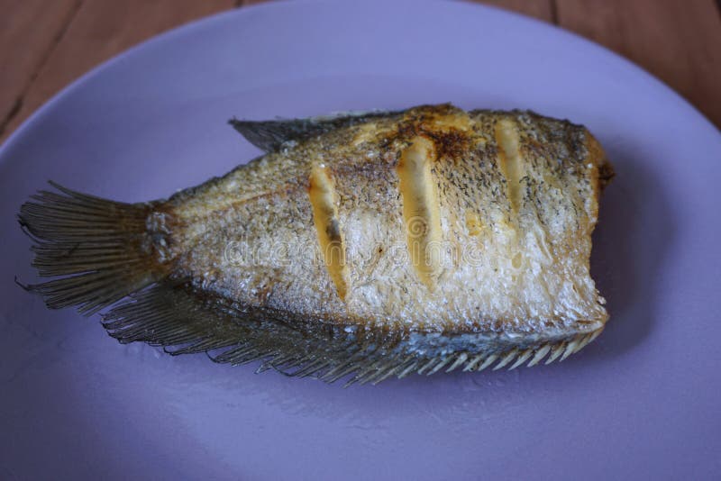 Crispy Fried Sepat Siam Fish Stock Photos - Free & Royalty-Free Stock ...