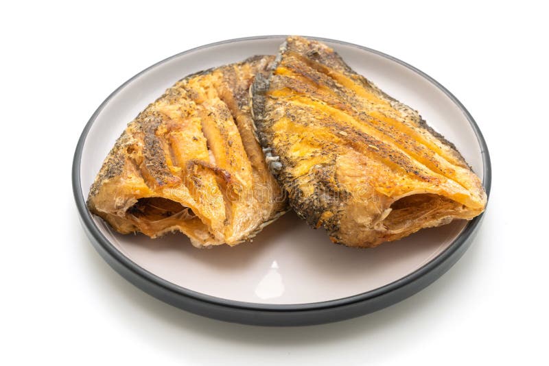 114 Slid Fish Stock Photos - Free & Royalty-Free Stock Photos from ...