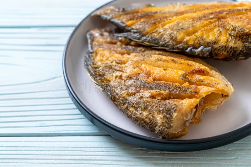 195 Slid Fish Stock Photos - Free & Royalty-Free Stock Photos from ...