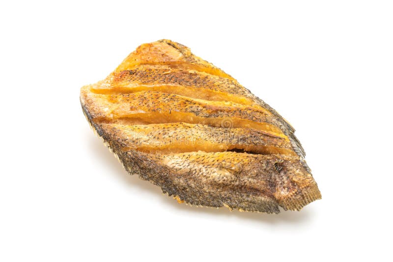 113 Slid Fish Photos - Free & Royalty-Free Stock Photos from Dreamstime