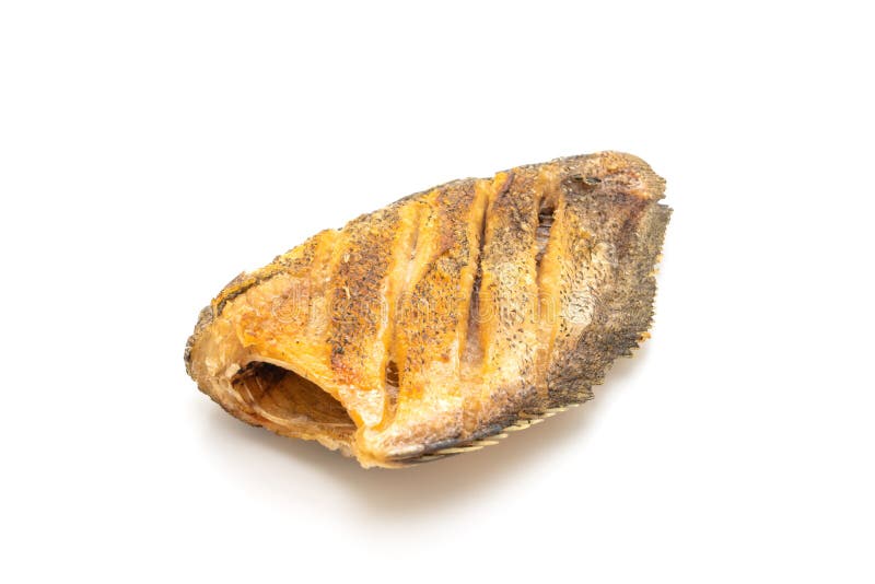 114 Slid Fish Stock Photos - Free & Royalty-Free Stock Photos from ...