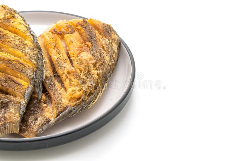 116 Slid Fish Stock Photos - Free & Royalty-Free Stock Photos from ...