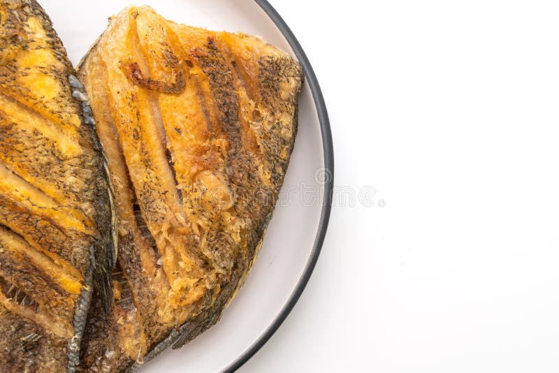 195 Slid Fish Stock Photos - Free & Royalty-Free Stock Photos from ...