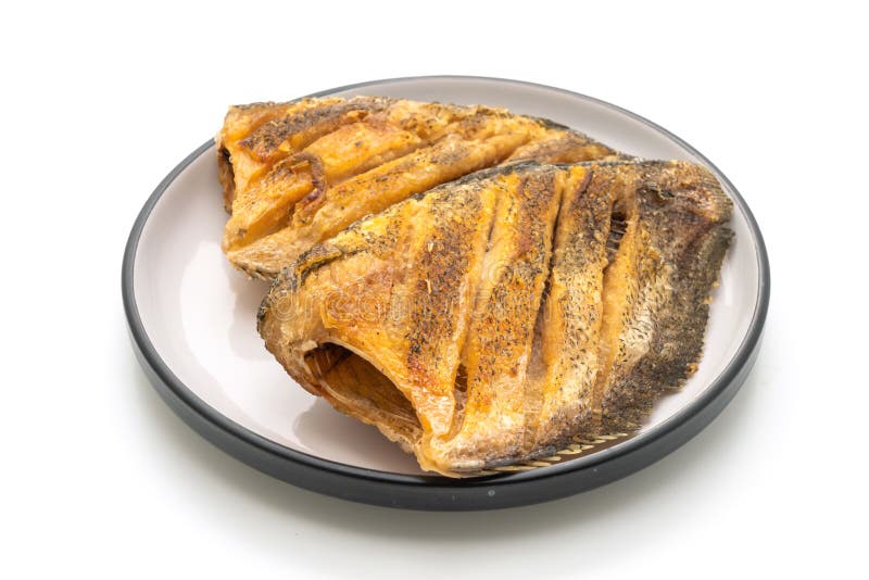 114 Slid Fish Stock Photos - Free & Royalty-Free Stock Photos from ...