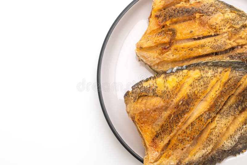 114 Slid Fish Stock Photos - Free & Royalty-Free Stock Photos from ...