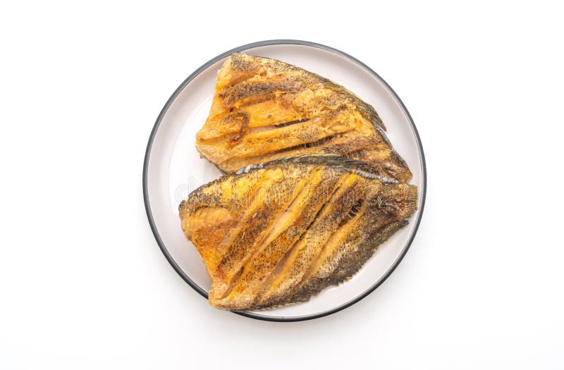 195 Slid Fish Stock Photos - Free & Royalty-Free Stock Photos from ...