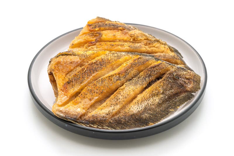 113 Slid Fish Photos - Free & Royalty-Free Stock Photos from Dreamstime