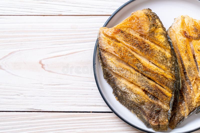 114 Slid Fish Stock Photos - Free & Royalty-Free Stock Photos from ...