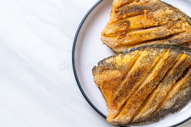 114 Slid Fish Stock Photos - Free & Royalty-Free Stock Photos from ...