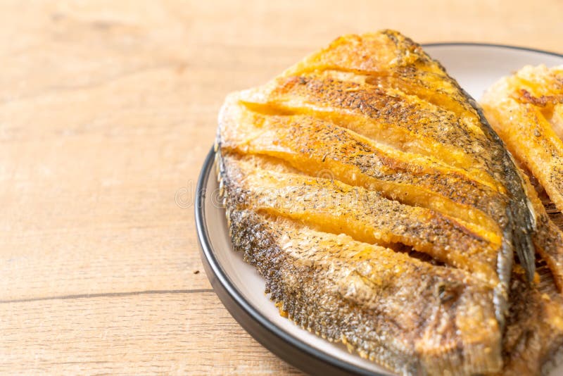 114 Slid Fish Stock Photos - Free & Royalty-Free Stock Photos from ...