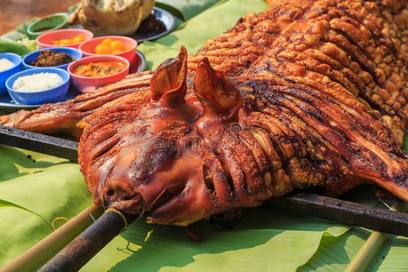 Crispy Grilled Suckling Pig Stock Image - Image of meal, cooking: 72041257