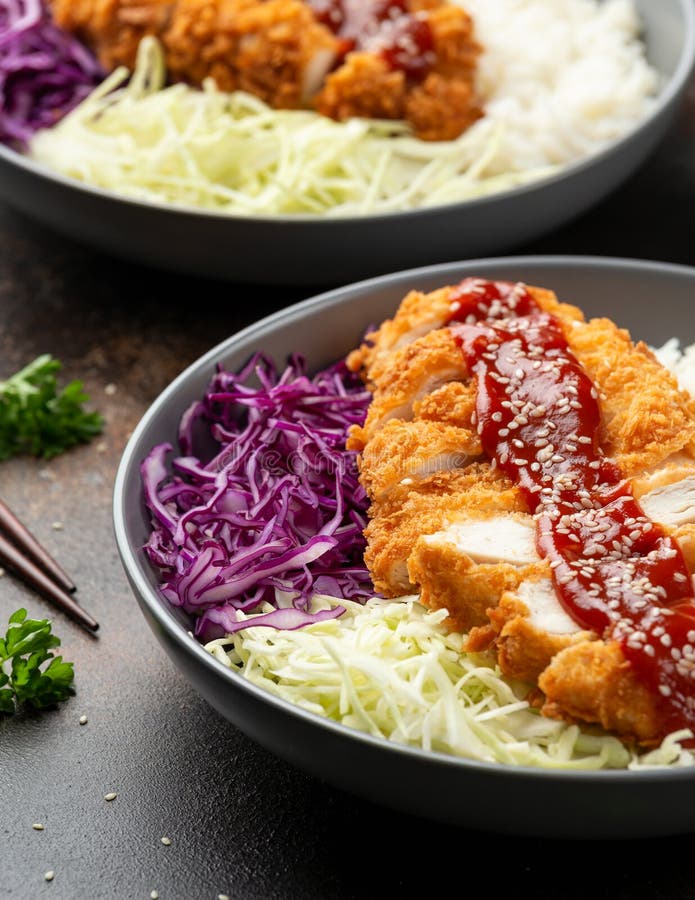 Crispy Katsu Chicken with Sauce, Rice and Cabbage. Stock Image - Image ...