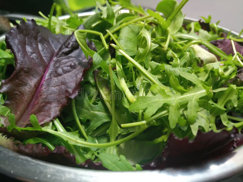 Crispy Organic Washed Salad Stock Image - Image of crispy, salad: 106838969