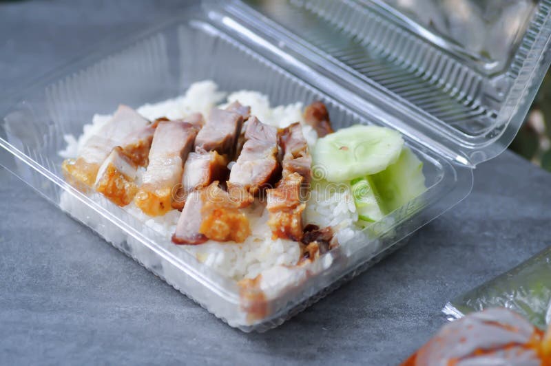Crispy Pork with Rice, Rice Topped with Crispy Pork Stock Photo - Image ...