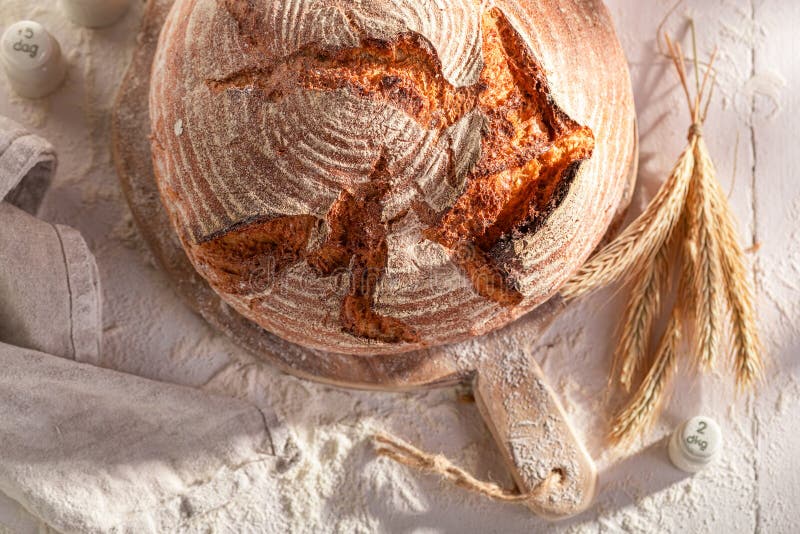 Crispy Round Loaf Bread Baking in with Grain and Ears Stock Image ...