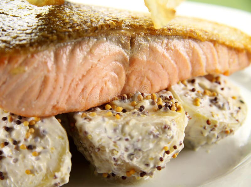 Crispy Skin Salmon stock photo. Image of mustard, carrots - 13047714
