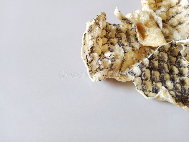 Crispy snapper skin chips stock photo. Image of delicious - 213409260