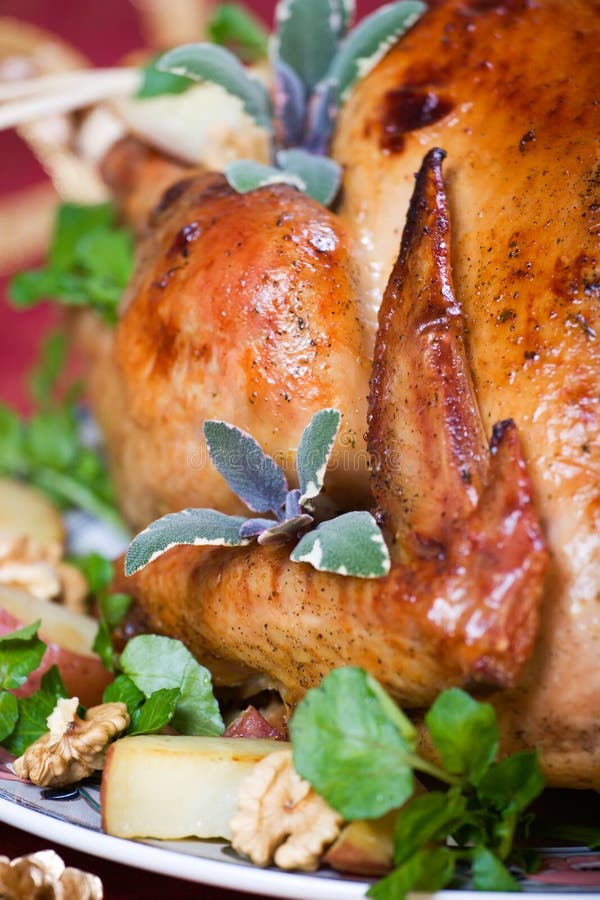 Crispy turkey stock image. Image of roasted, organic, gathering - 2174915