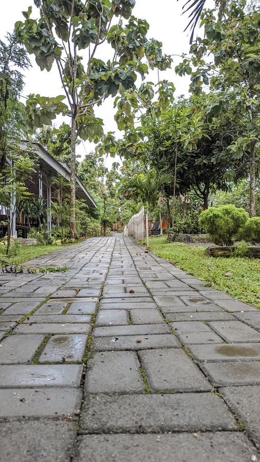 Criss Cross Brick Path Walkway Stock Photo - Image of grass, street ...