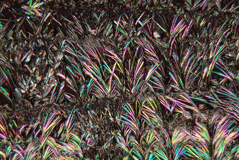 Cristais Da Cumarina Sob O Microscópio Imagem de Stock - Imagem de ...