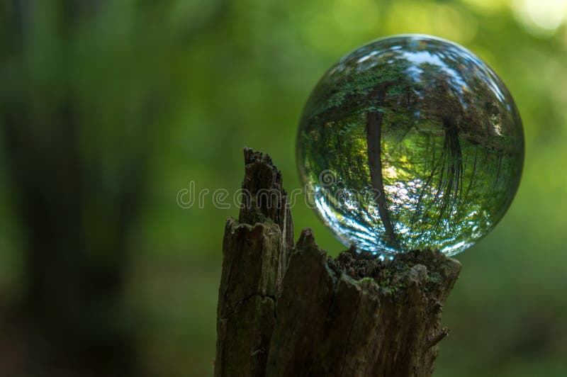 Cristal ball reflection stock photo. Image of background - 127093164