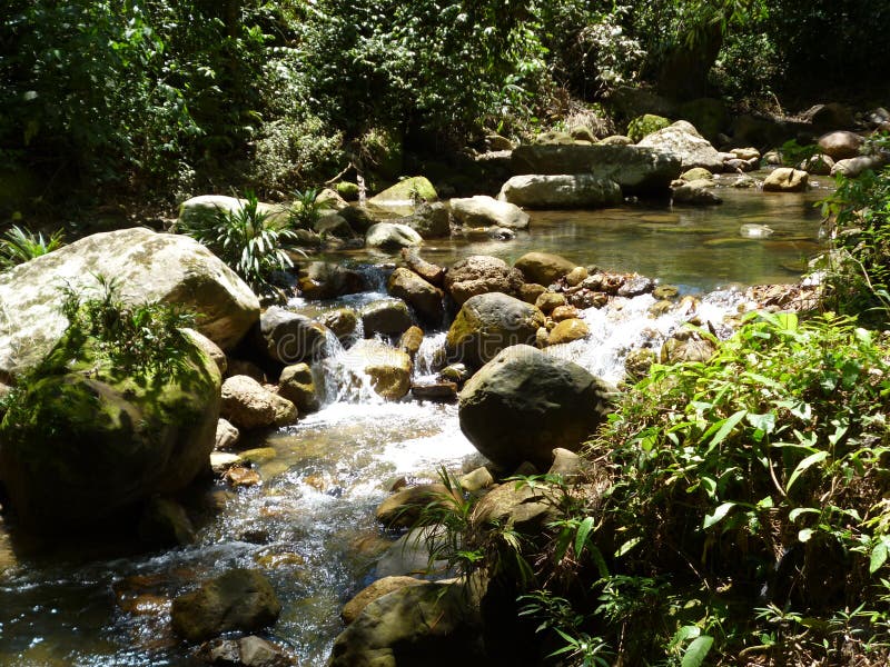 Apulo Stock Photos - Free & Royalty-Free Stock Photos from Dreamstime