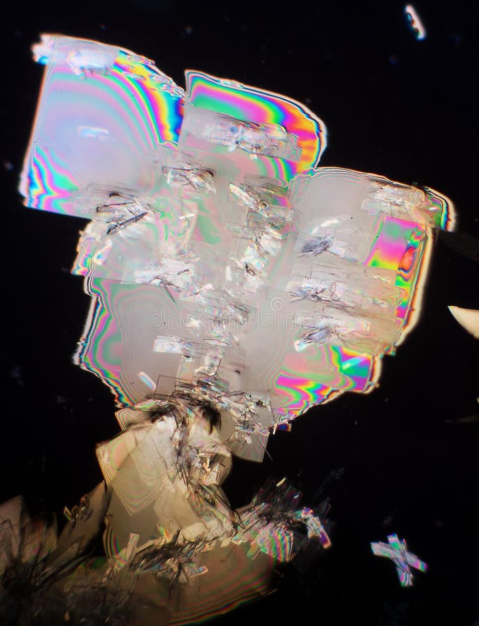 Cristaux D'alun De Potassium Dans Le Microscope Photo stock - Image du ...