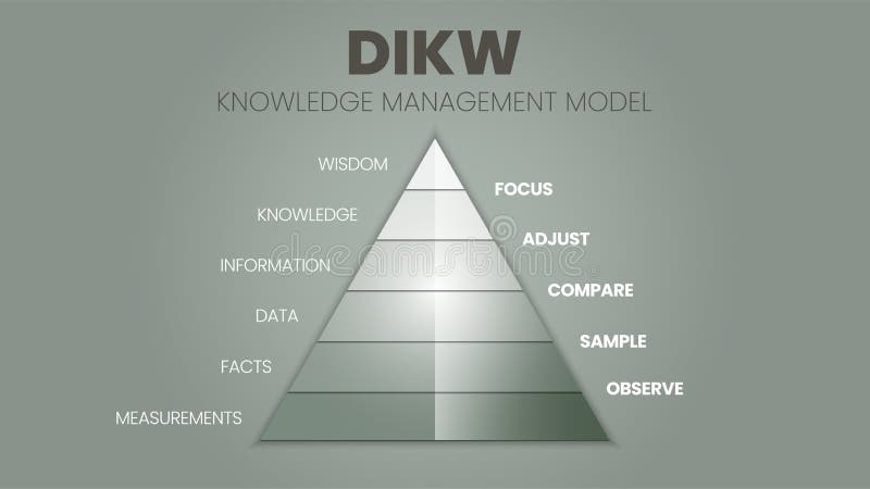 A Vector Illustration of the DIKW Hierarchy Has Wisdom, Knowledge ...