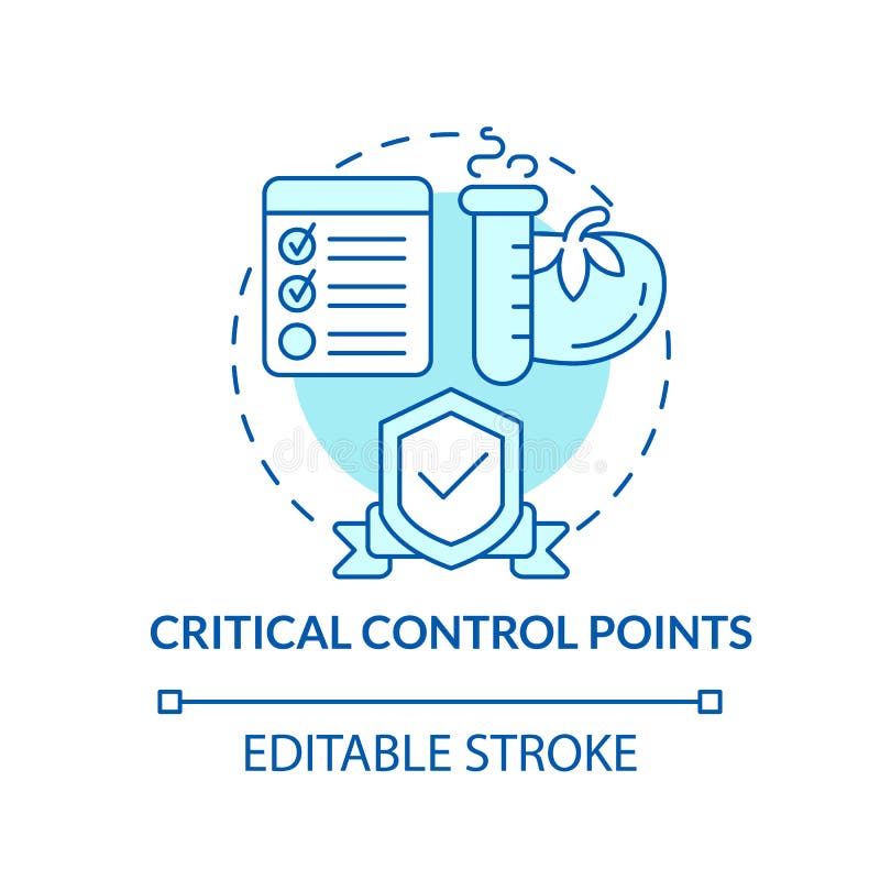 Critical Control Points Turquoise Concept Icon Stock Vector ...