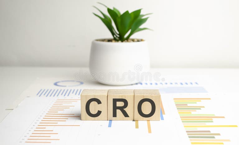 CRO Conversion Rate Optimisation Words on Wooden Blocks and Charts ...
