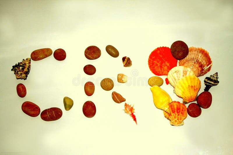 Cro (Croatia) Letters of Shells Stock Photo - Image of coast, idea ...