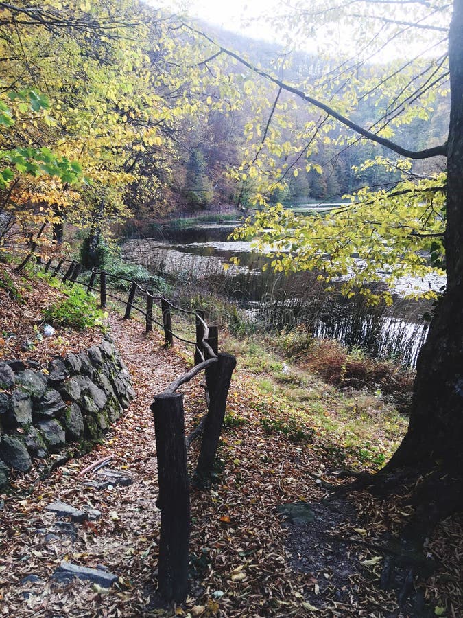 Croatia, Jankovac stock image. Image of lake, park, leaf - 154189229