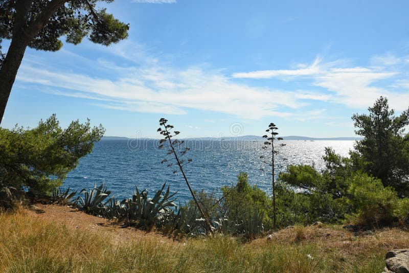 Croatian Mediterranean Scrub Stock Photo - Image of hill, scrub: 261455640