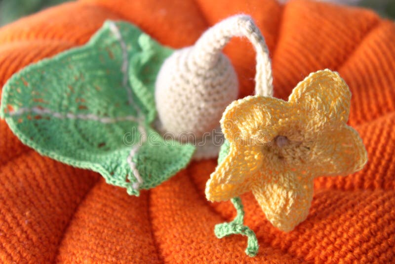 Crochet Beret Pumpkin stock photo. Image of flower, handmade - 83496528