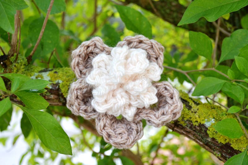 Crochet flower on a tree stock image. Image of handmade - 49179021