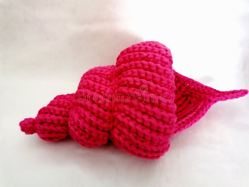 Crochet Spiral Shell Basket with a Hanger Stock Image - Image of ...